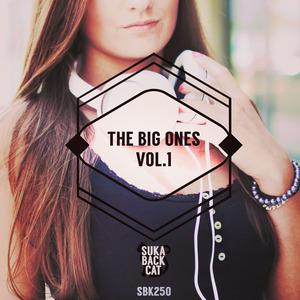 Various: The Big Ones Vol 1 at Juno Download