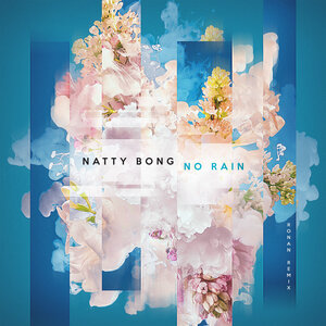 No Rain (Ronan Remix) by Natty Bong on MP3, WAV, FLAC, AIFF & ALAC at ...