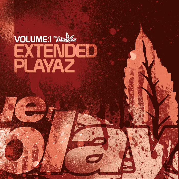 Extended Playaz Vol 1 by Various on MP3, WAV, FLAC, AIFF & ALAC at Juno ...
