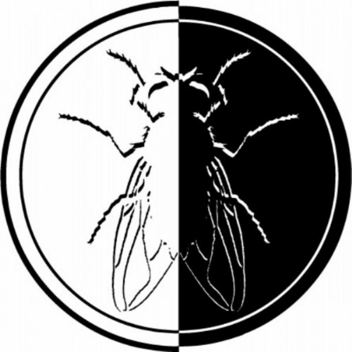 Sinus - Blob (remixes) on Juno Download | MP3, WAV, FLAC