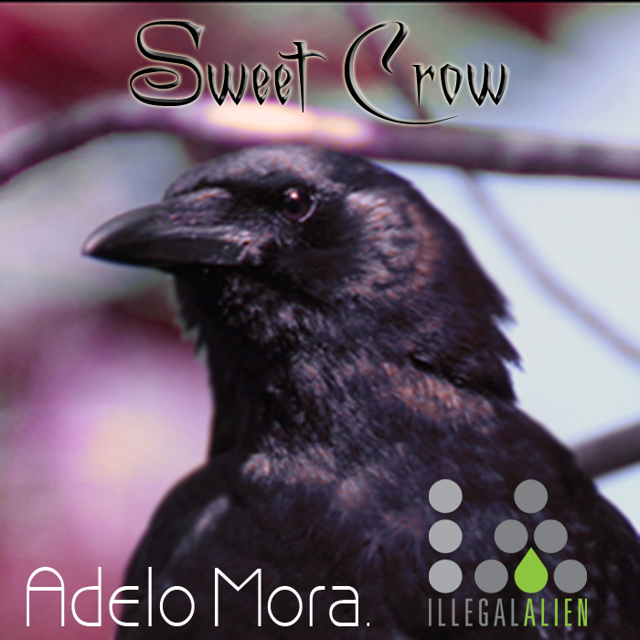 Sweet Crow by Adelo Mora on MP3, WAV, FLAC, AIFF & ALAC at Juno Download