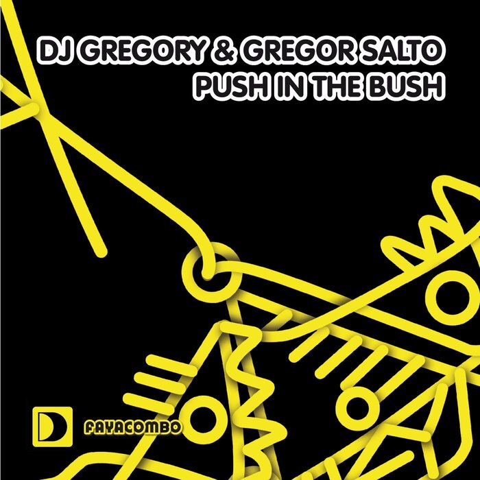 Push In The Bush by Dj Gregory/Gregor Salto on MP3, WAV, FLAC, AIFF ...