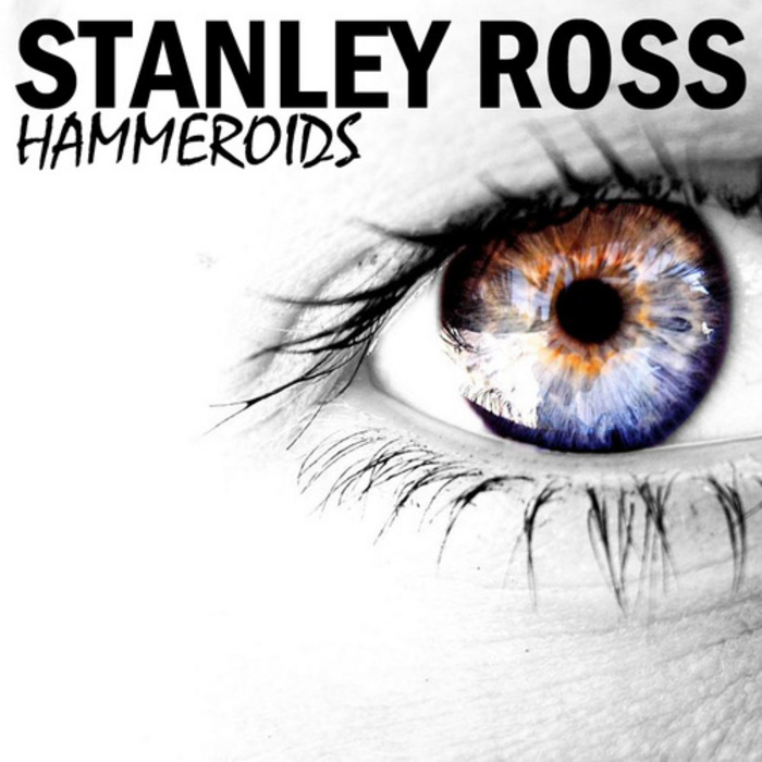 Hammeroids by Stanley Ross on MP3, WAV, FLAC, AIFF & ALAC at Juno Download