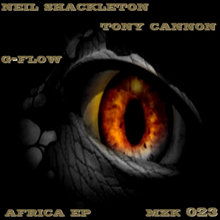 G Flow In Africa EP by Tony Cannon/Neil Shackleton on MP3, WAV, FLAC ...