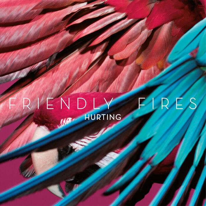 Hurting by Friendly Fires on MP3, WAV, FLAC, AIFF & ALAC at Juno Download