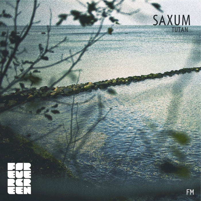 Tutan by Saxum on MP3, WAV, FLAC, AIFF & ALAC at Juno Download