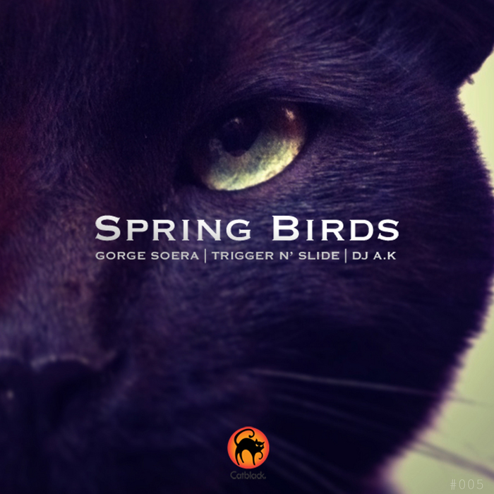 Spring Birds by Gorge Soera/DJ Ak/Trigger N Slide on MP3, WAV, FLAC ...