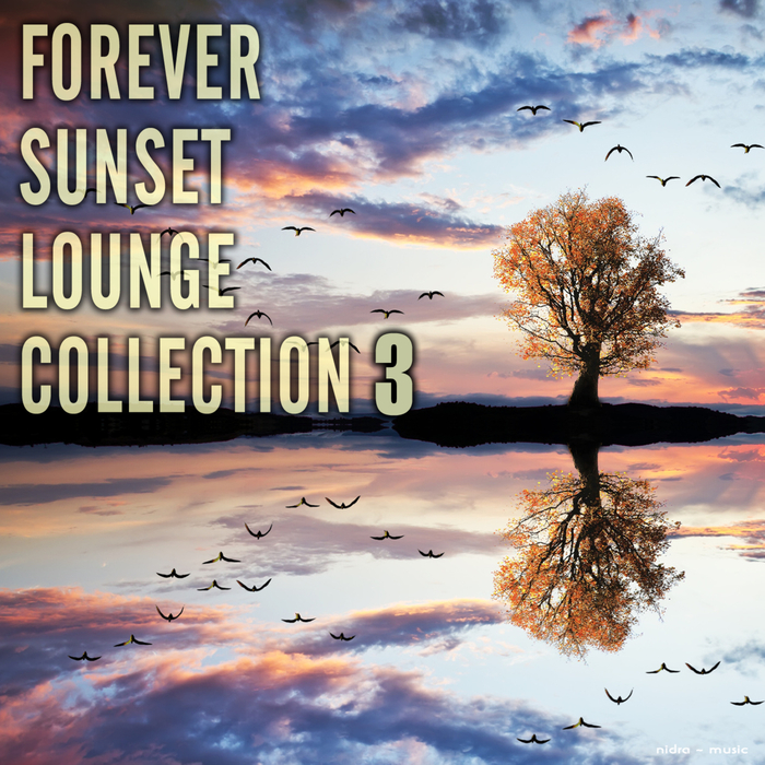 Various: Forever Sunset Lounge Collection Vol 3 at Juno Download