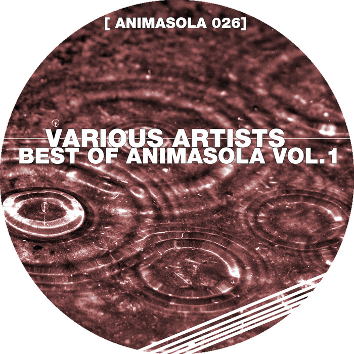 Various: Best Of Animasola Vol 1 at Juno Download