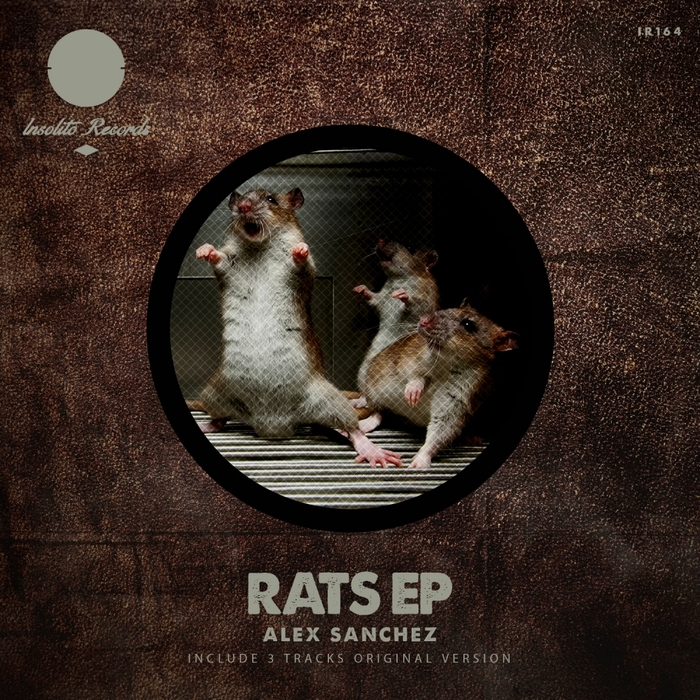 Rats EP by Alex Sanchez on MP3, WAV, FLAC, AIFF & ALAC at Juno Download