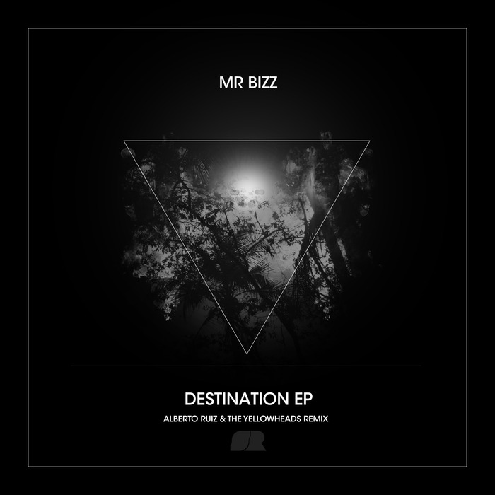 Destination by Mr Bizz on MP3, WAV, FLAC, AIFF & ALAC at Juno Download