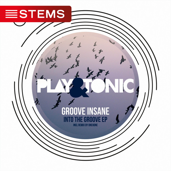 Into The Groove EP by Groove Insane on MP3, WAV, FLAC, AIFF & ALAC at ...