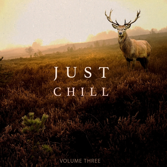 Various: Just Chill - Chill Out & Relaxing Music Vol 3 (Amazing Chill ...