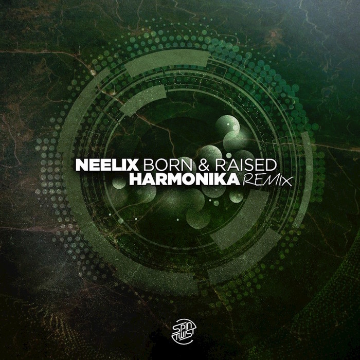 Born & Raised by Neelix on MP3, WAV, FLAC, AIFF & ALAC at Juno Download