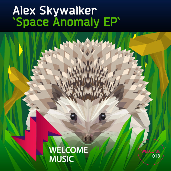 Space Anomaly by Alex Skywalker on MP3, WAV, FLAC, AIFF & ALAC at Juno ...