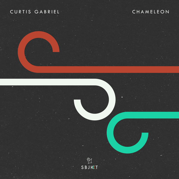 Chameleon by Curtis Gabriel on MP3, WAV, FLAC, AIFF & ALAC at Juno Download