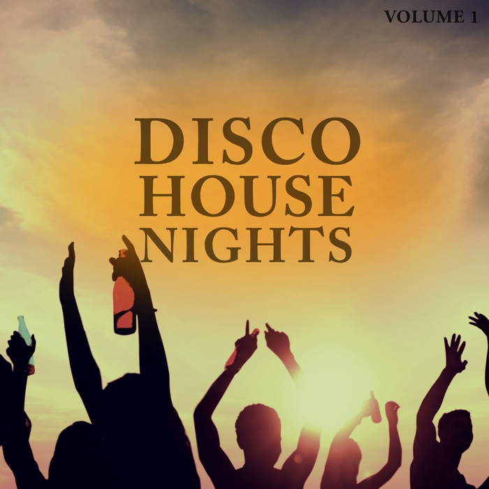 Various: Disco House Nights Vol 1 (Wonderful Mix Of Smooth Disco & Club ...