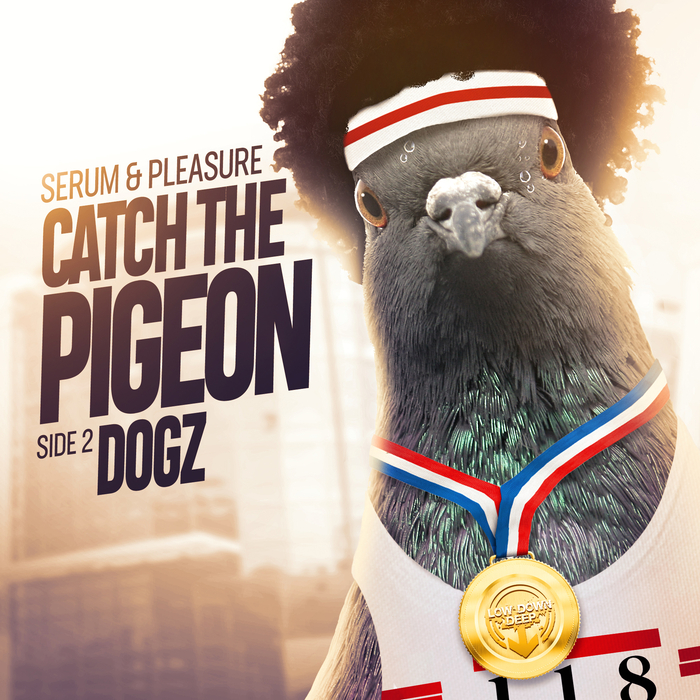 Serum/DJ Pleasure - Catch The Pigeon/Dogz on Juno Download | MP3, WAV, FLAC