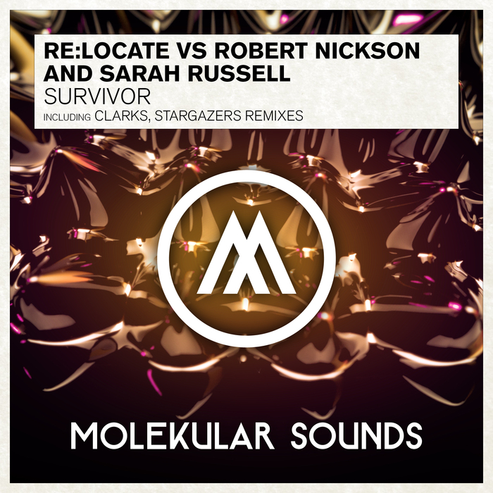 Survivor by Re:Locate/Robert Nickson And Sarah Russell on MP3, WAV ...