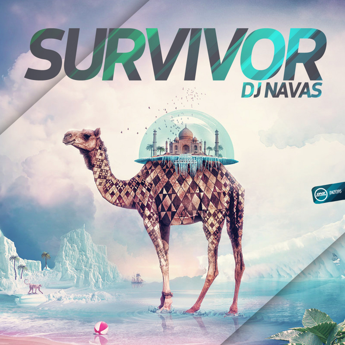 Survivor by DJ Navas on MP3, WAV, FLAC, AIFF & ALAC at Juno Download