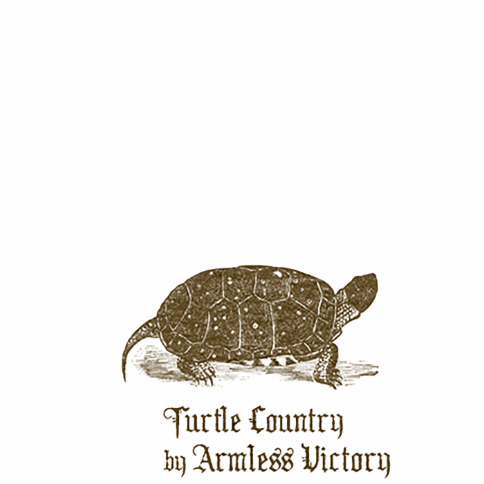 Turtle Country by Armless Victory on MP3, WAV, FLAC, AIFF & ALAC at ...
