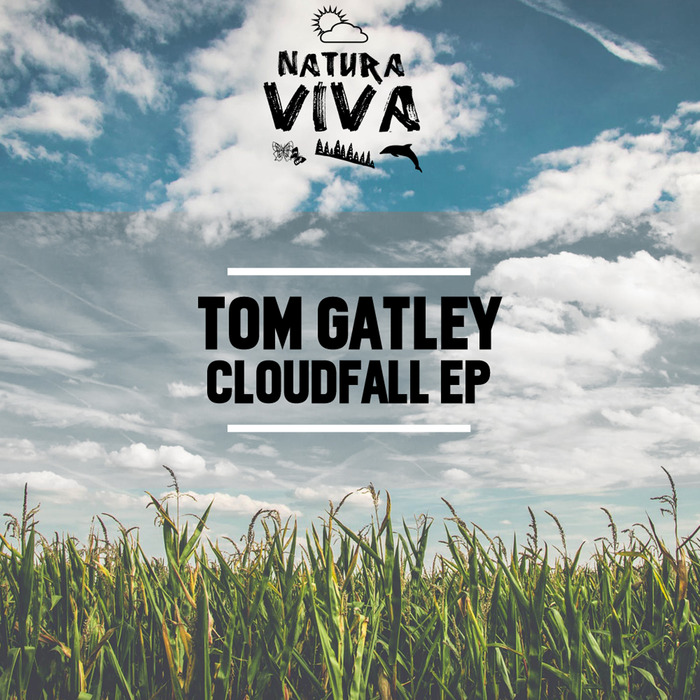 Cloudfall by Tom Gatley on MP3, WAV, FLAC, AIFF & ALAC at Juno Download