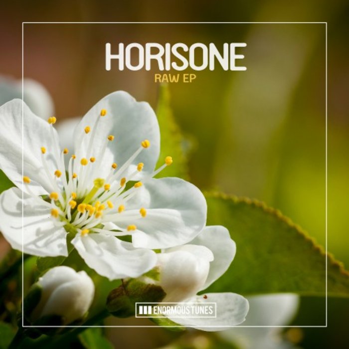 Raw by Horisone on MP3, WAV, FLAC, AIFF & ALAC at Juno Download