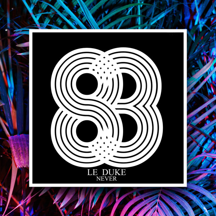Never by Le Duke on MP3, WAV, FLAC, AIFF & ALAC at Juno Download