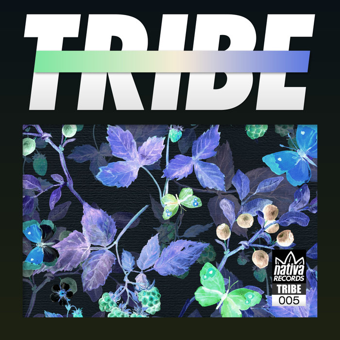 Tribe, Vol 05 by Carlo M (Pe)/Jungle Jack/Craftman on MP3, WAV, FLAC, AIFF & ALAC at Juno Download