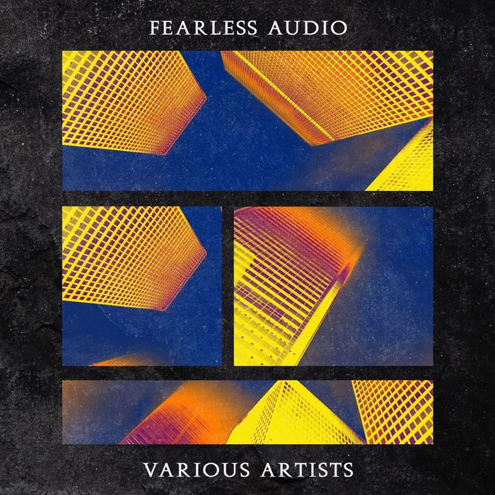 Various: Fearless Audio LP at Juno Download