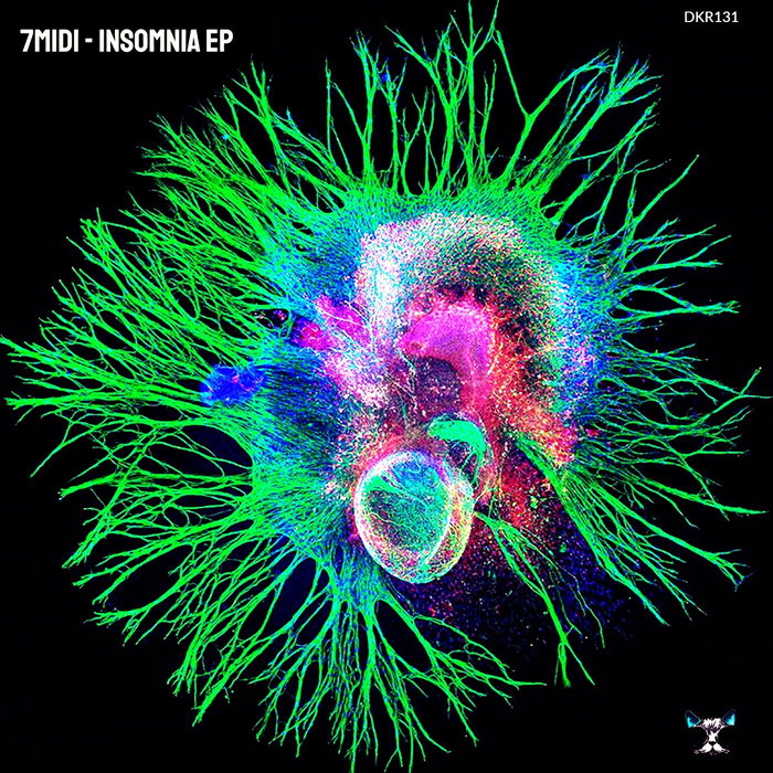 Insomnia EP by 7midi on MP3, WAV, FLAC, AIFF & ALAC at Juno Download