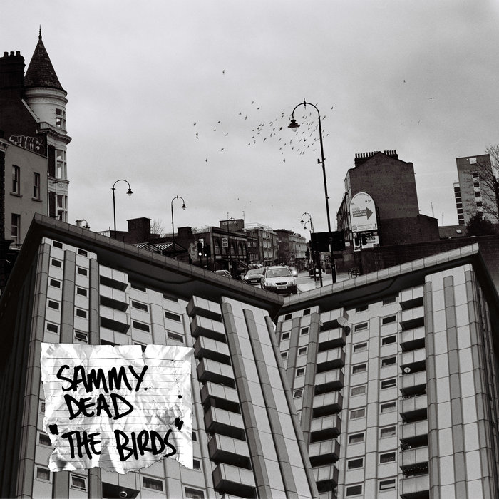 The Birds by Sammy Dead on MP3, WAV, FLAC, AIFF & ALAC at Juno Download