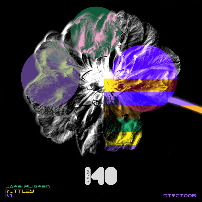 Remix EP by Jake Plisken on MP3, WAV, FLAC, AIFF & ALAC at Juno Download