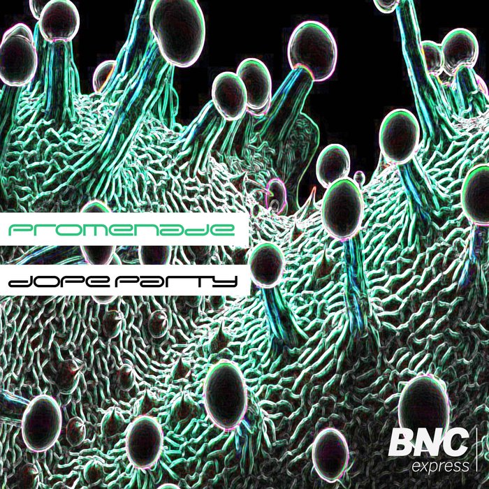 Dope Party Sampler by Promenade on MP3, WAV, FLAC, AIFF & ALAC at Juno ...