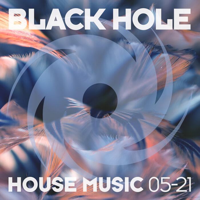 Various: Black Hole House Music 05-21 at Juno Download