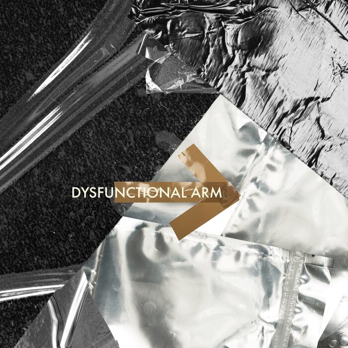 Dysfunctional Arm (Original Mix) by Hash Trixx on MP3, WAV, FLAC, AIFF ...