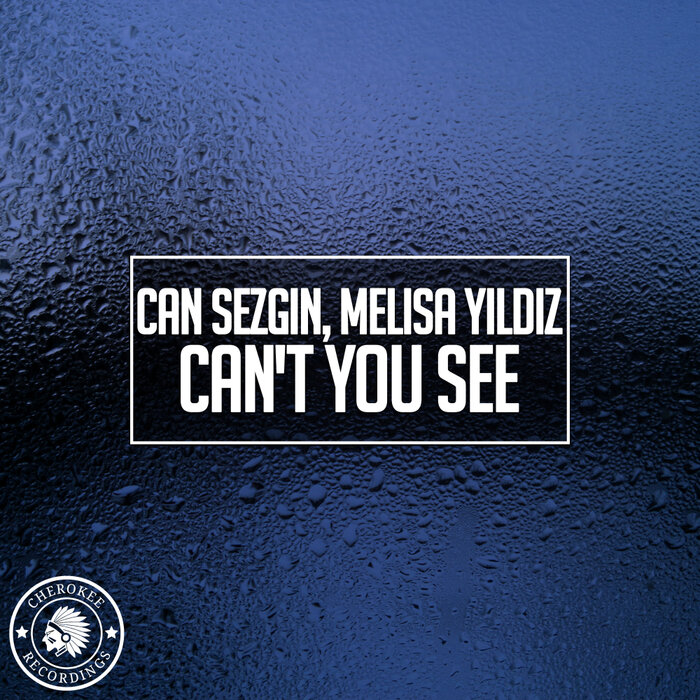 Can t You See by Can Sezgin/Melisa Yildiz on MP3, WAV, FLAC, AIFF ...