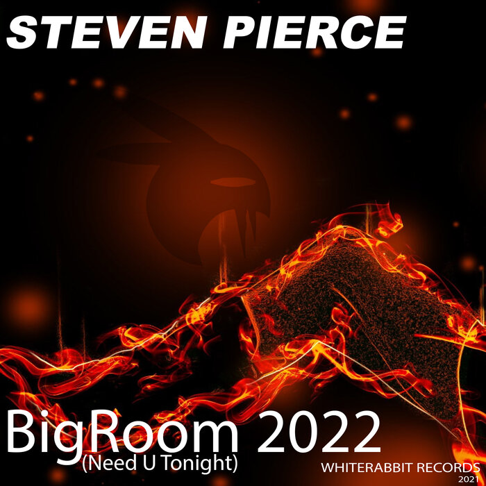 BigRoom 2022 (Need U Tonight) by Steven Pierce on MP3, WAV, FLAC, AIFF ...