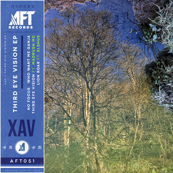 Third Eye Vision EP by Xav on MP3, WAV, FLAC, AIFF & ALAC at Juno Download