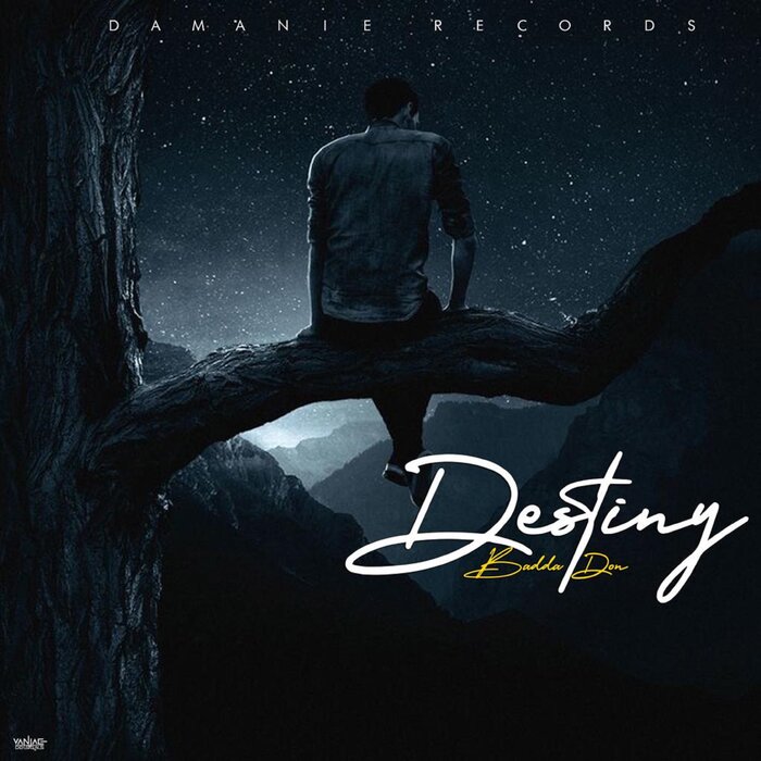 Destiny by Badda Don on MP3, WAV, FLAC, AIFF & ALAC at Juno Download