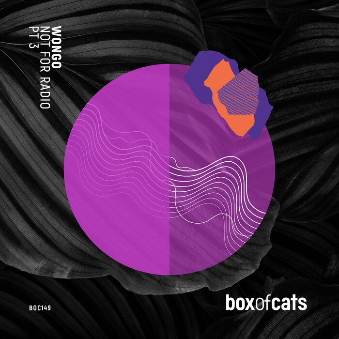 Not For Radio Pt 3 (Extended Mixes) by Wongo on MP3, WAV, FLAC, AIFF ...