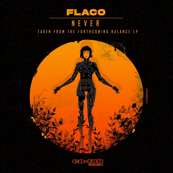 Never by Flaco on MP3, WAV, FLAC, AIFF & ALAC at Juno Download