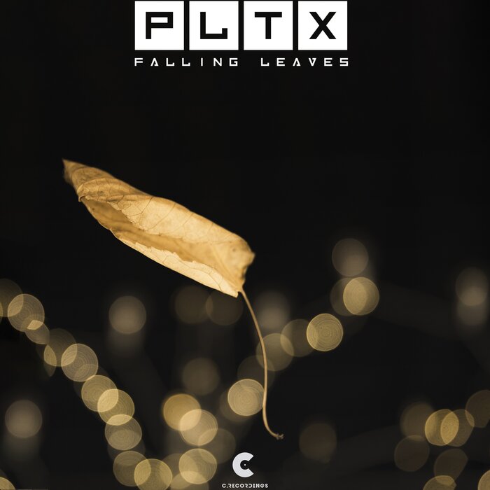 Falling Leaves by PLTX on MP3, WAV, FLAC, AIFF & ALAC at Juno Download