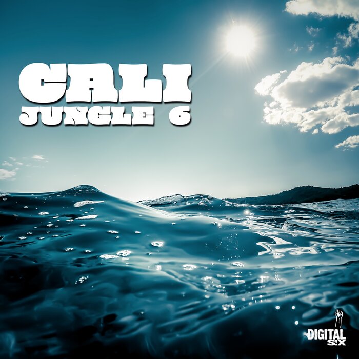 Cali Jungle 6 (Remixes) by 6Blocc on MP3, WAV, FLAC, AIFF & ALAC at ...