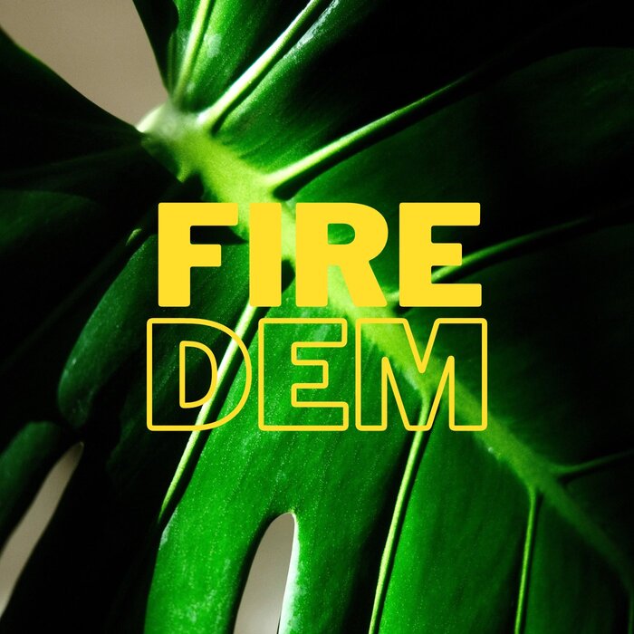 Fire Dem by Thing on MP3, WAV, FLAC, AIFF & ALAC at Juno Download