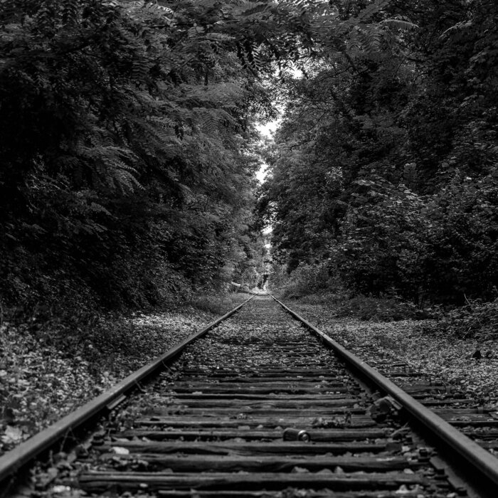 Like A Train by Bassin Sound on MP3, WAV, FLAC, AIFF & ALAC at Juno ...