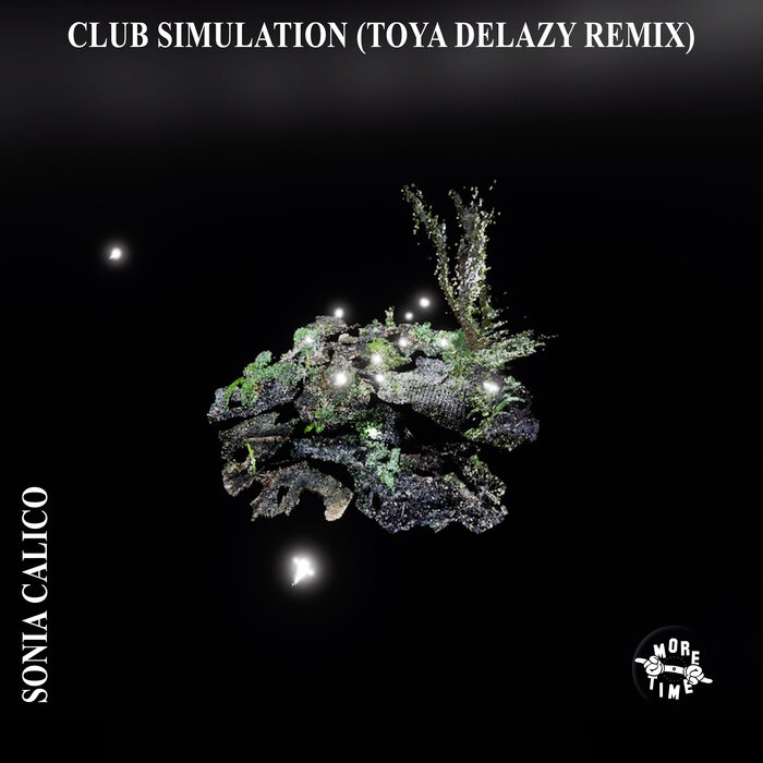 Club Simulation (Toya Delazy Remix) by Sonia Calico on MP3, WAV, FLAC ...