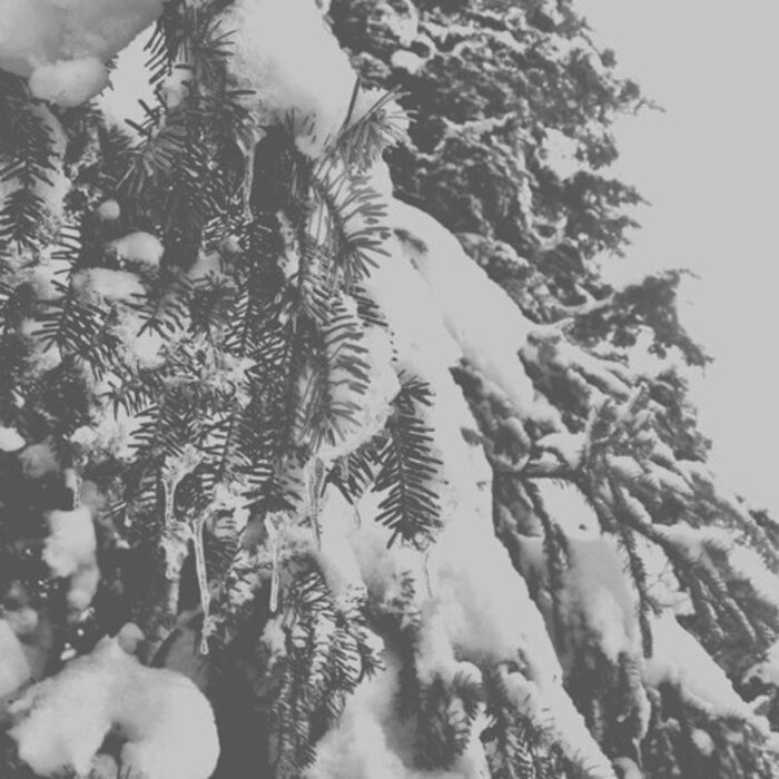 Various: Soft, Deep & Dark #9 at Juno Download