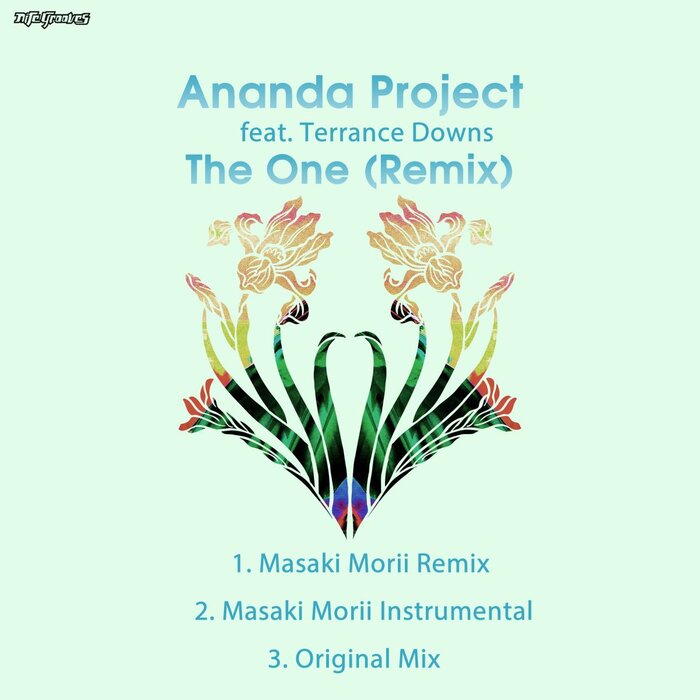 The One (Remix) by Ananda Project feat Terrance Downs on MP3, WAV, FLAC ...
