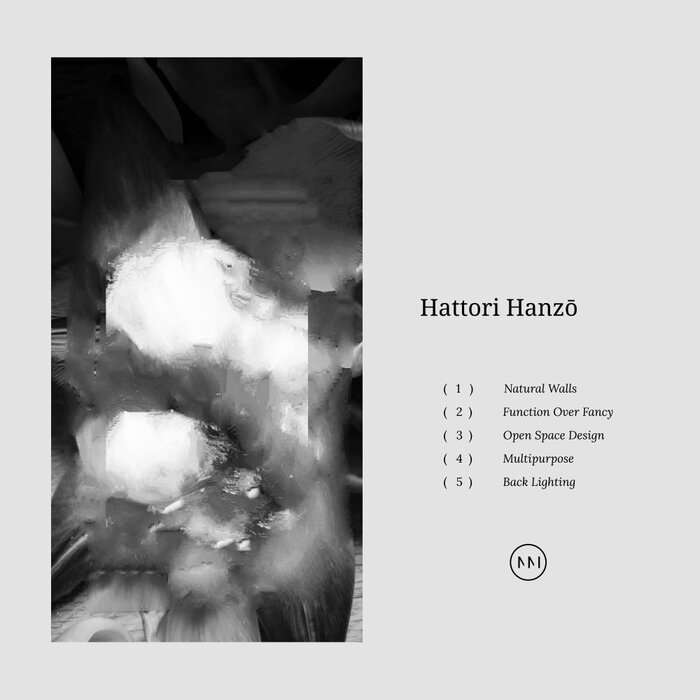 Function Over Fancy by Hattori Hanzo on MP3, WAV, FLAC, AIFF & ALAC at ...